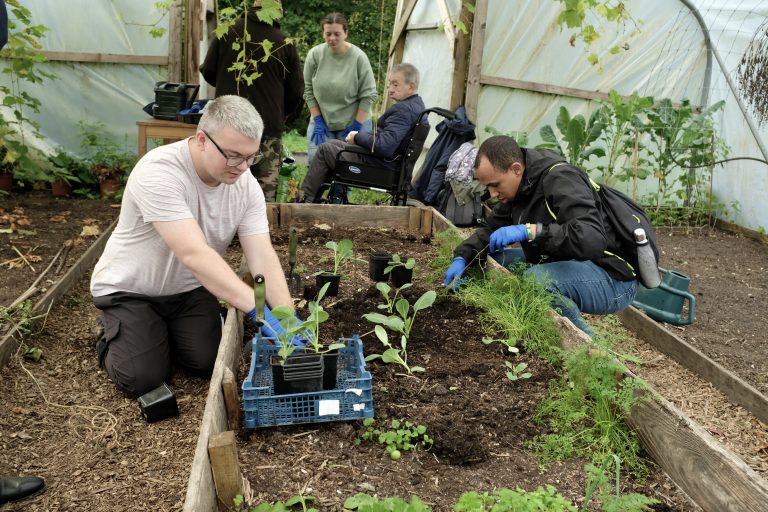 Into Work - Learning Disabilities : Learning Disabilities